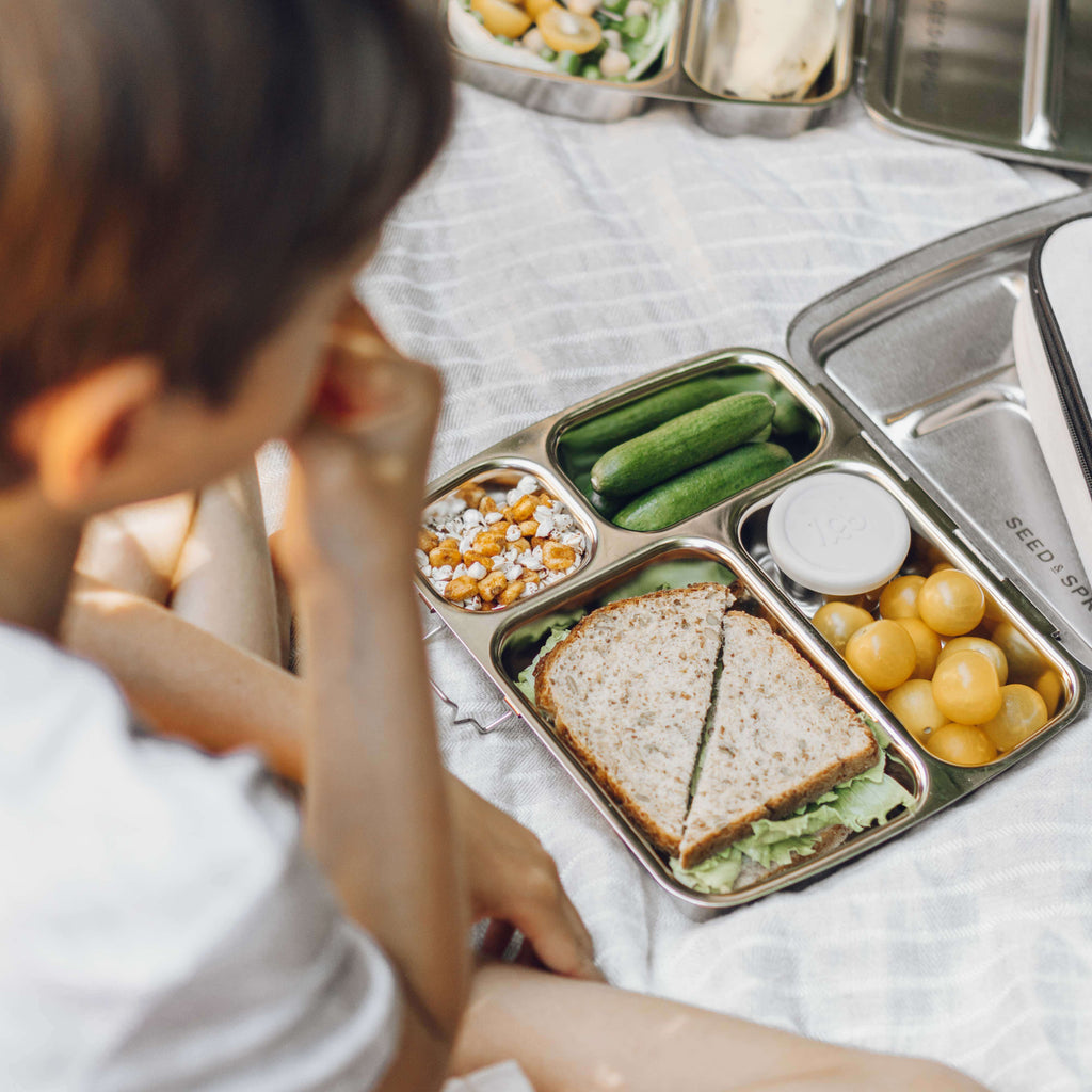 CrunchBox: The Story Behind Seed & Sprout