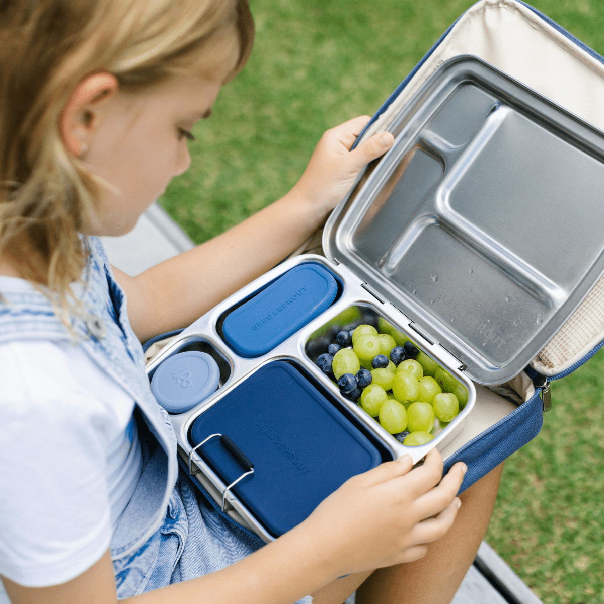 CrunchBox Lunch Box Bundle | Seed and Sprout Lunch Box