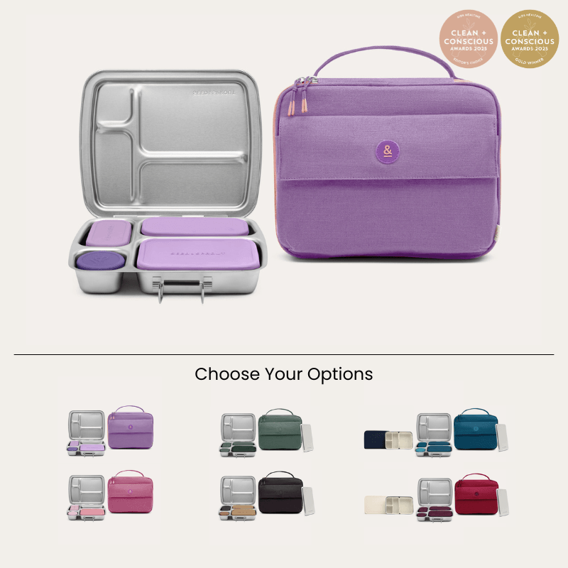Seed & Sprout | Stainless Steel Lunchboxes