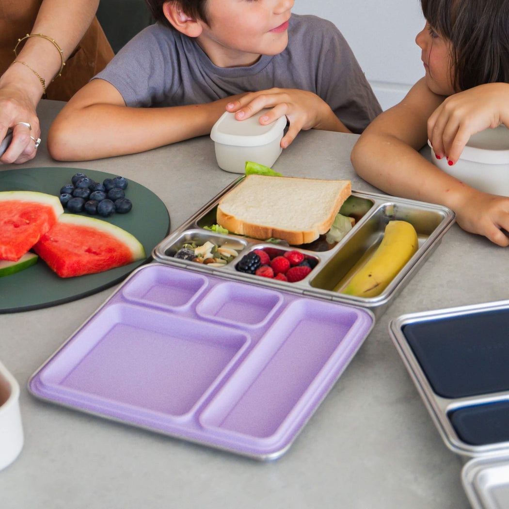 Seed & Sprout | Stainless Steel Lunchboxes