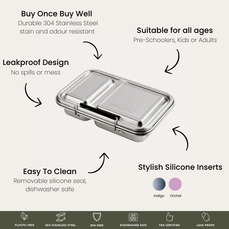 Ultimate Lunch and Snack Set | Seed and Sprout Lunch Box