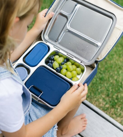 Seed & Sprout | Stainless Steel Lunchboxes